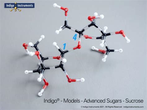 Sugar Structures Molecular Model Kit Indigo