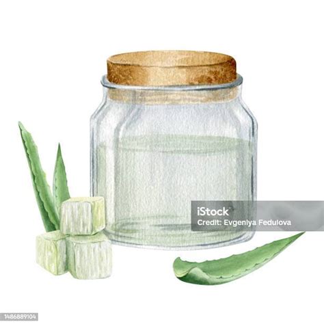 알로에 베라 주스가 든 유리병 매시와 알로에 즙이 많은 잎 손으로 그린 수채화 그림 흰색 배경에 격리되어 있습니다 건강관리와 의술에 대한 스톡 벡터 아트 및 기타 이미지