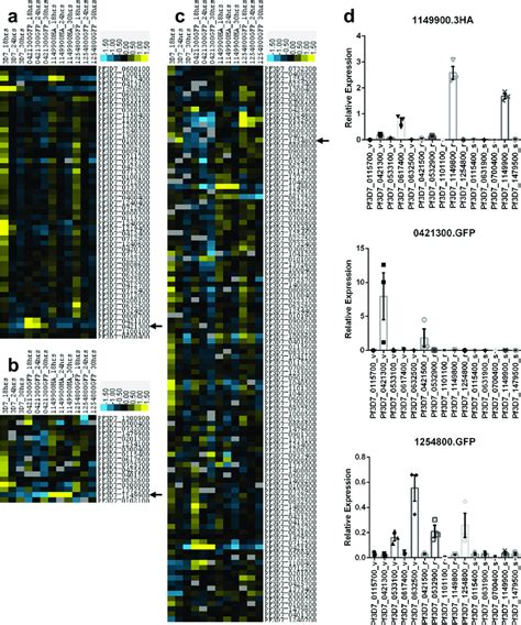 Global Analysis Of P Falciparum Multigene Expression Patterns A C