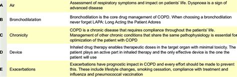 The Abcd And E Of Copd For Patients Download Table