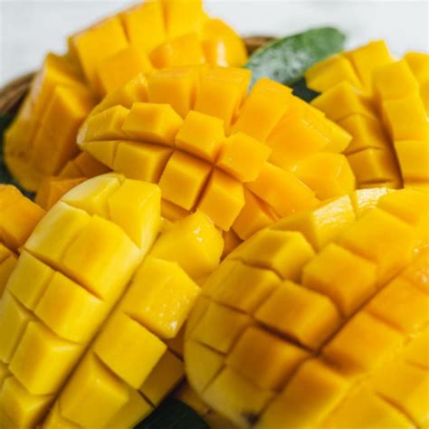 디너의여왕 명랑핫도그 메뉴모음집