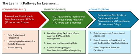 Professional Certificate In Data Analytics And Ai Tools Synchronous