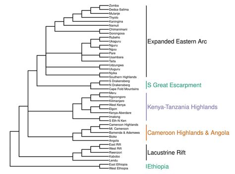 Consensus Dendrogram Across All Taxonomic Levels From The Hierarchical