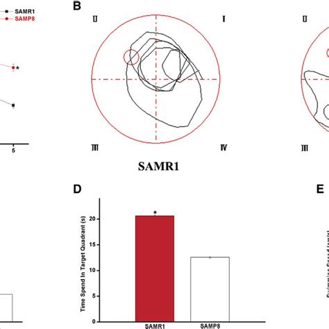 Memory And Learning Ability Evaluation In The Samp8 Mouse Model We Used