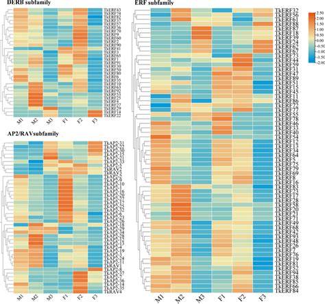 Heat Map Of Tkap2 Erf Genes At Different Flowering Stages Based On Download Scientific Diagram