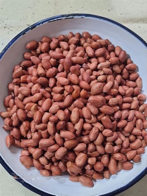 Organic Groundnut Seed At ₹ 120 Kg Groundnut Seeds In Anantapur Id 25277281248