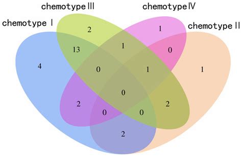 Chemotype Classification And Biomarker Screening Of Male Eucommia Ulmoides Oliv Flower Core