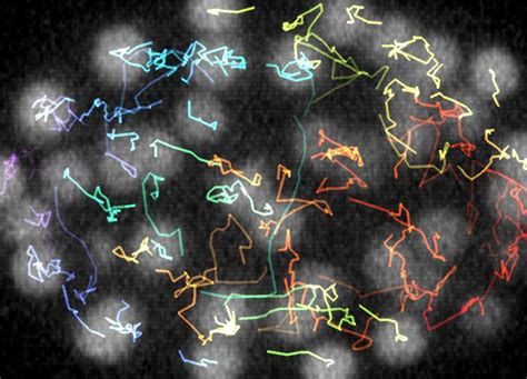 The Image Analysis Field Guide — The Image Analysis Field Guide