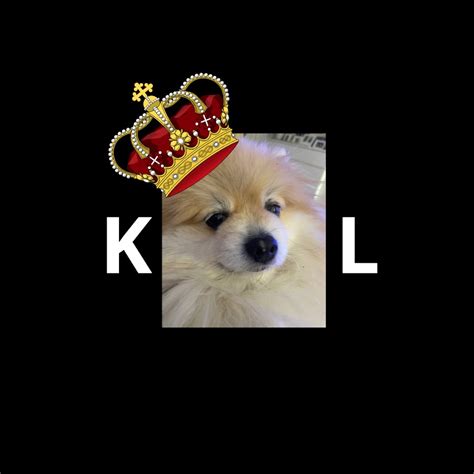 Larin History Youtube