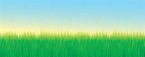Grass Vector Pattern Background Garden Grass Field Vector Garden