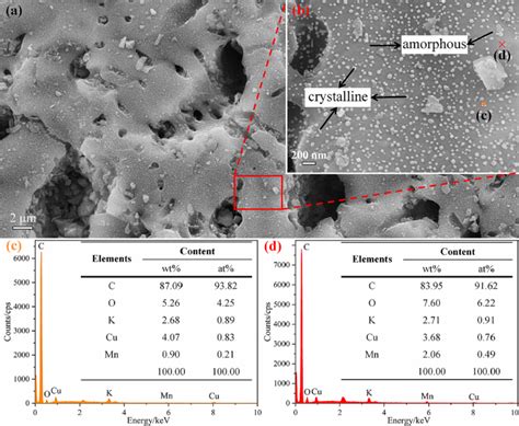 the high resolution field emission sem micrograph and eds point scans
