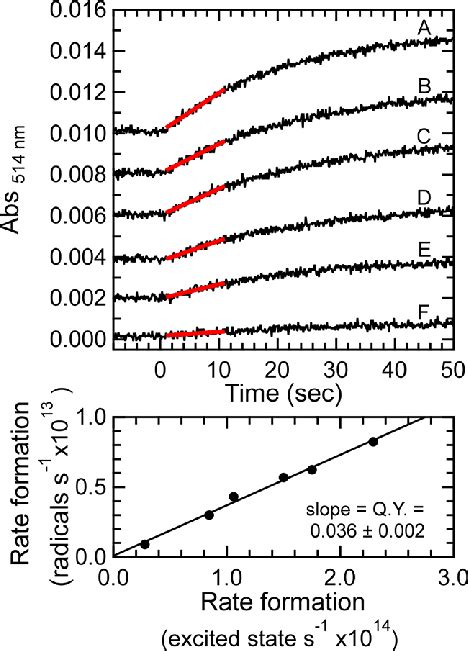 Top Absorbance At 514 Nm Same Curves As Figure 5 And Red Linear