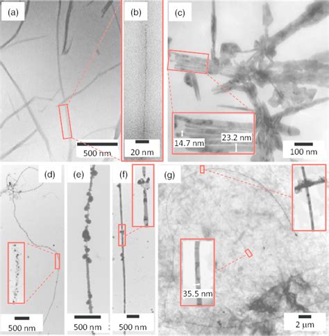Tem Micrographs Of Silver Nanostructures Formed After One Week Reaction