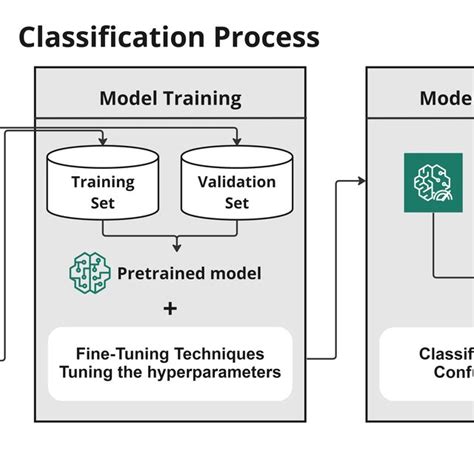 Classification Process Download Scientific Diagram
