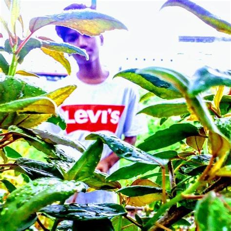 Shreyank Shetty Posted On Linkedin