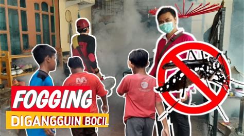 Fogging Digangguin Bocil Youtube