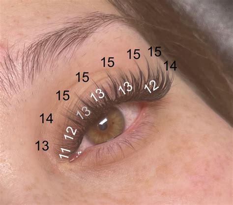Wispy Hybrid Mapping In 2025 Whispy Lashes Lashes Fake Eyelashes Lashes