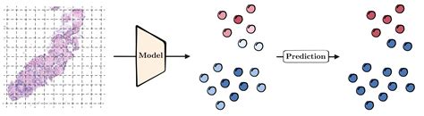 Boosting Vision Language Models For Histopathology Classification