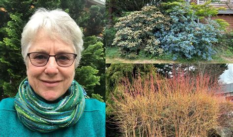 Renovating The Aging Garden With Bess Bronstein Northwest