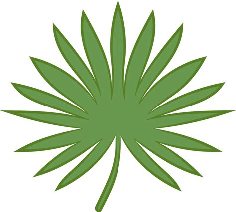 Leaf Png Graphic Clipart Design 19152916 Png