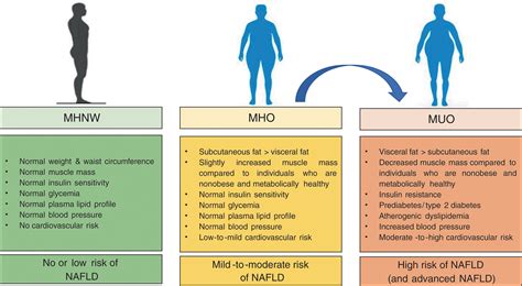 Epidemiology And Pathophysiology Of The Association Between Nafld And