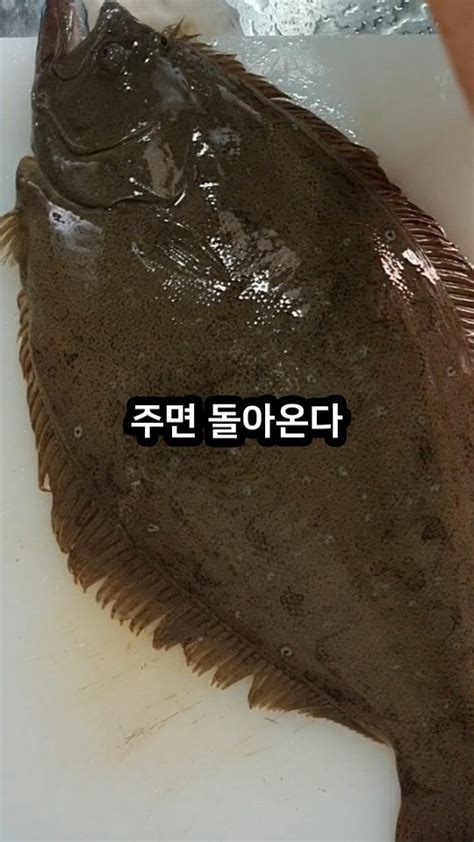 사요리남 사표 내고 요리하는 남자 주면 돌아온다 주면 받는다 먼저 주면 받는다 먼저 주고 베풀면 결국 두배 세배로 돌아온다 그래서 똑똑하고 성공한
