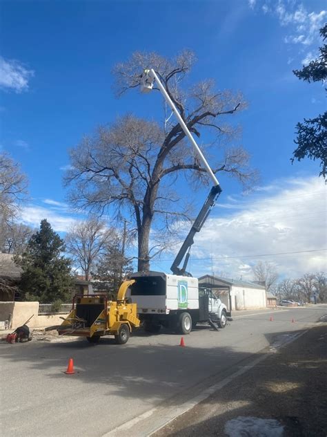 Tree Mitigation Duprees Trees
