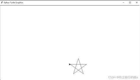 python的海龟 turtle 库使用详细介绍（画任意多边形，全网最详细） turtle库 csdn博客