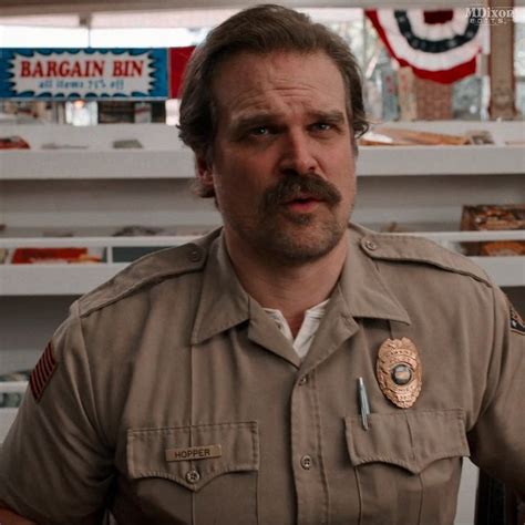 Icon Jim Hopper Stranger Things Serie Culte Actrice