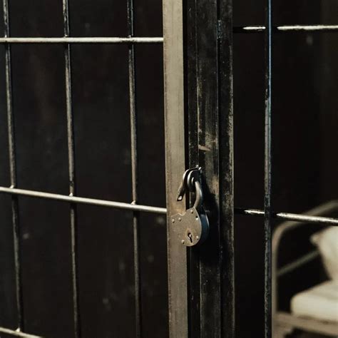 True Crime Script Writer Freelance Writing Services In 24 Hours