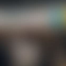 What S A Background Verification And What Kind Of Info Does It Provide