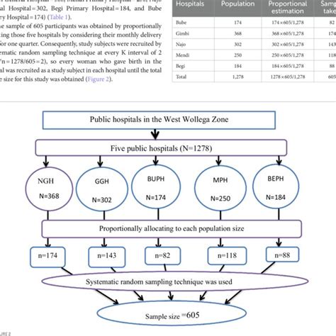 Proportional Allocation Of The Study Population To The Respective
