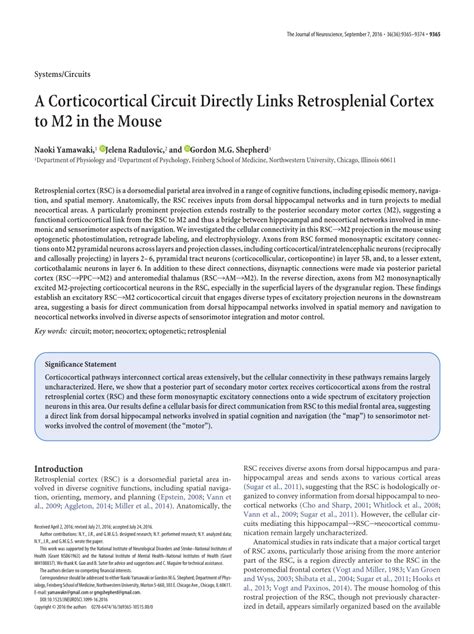 Pdf A Corticocortical Circuit Directly Links Retrosplenial Cortex To M2 In The Mouse
