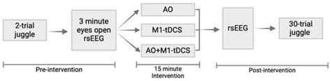 Thebraindriver On Linkedin Distinct Effects Of Brain Activation Using Tdcs And Observational