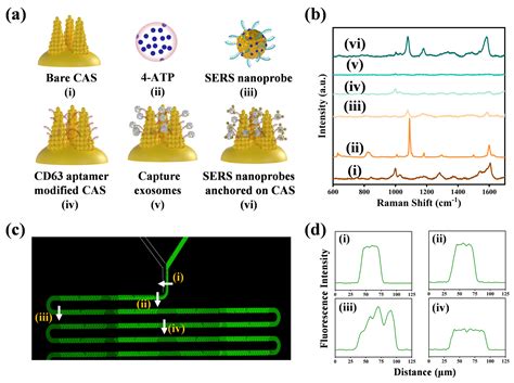 Integrated Sers Microfluidic Sensor Based On Nano Micro Hierarchical Cactus Like Array