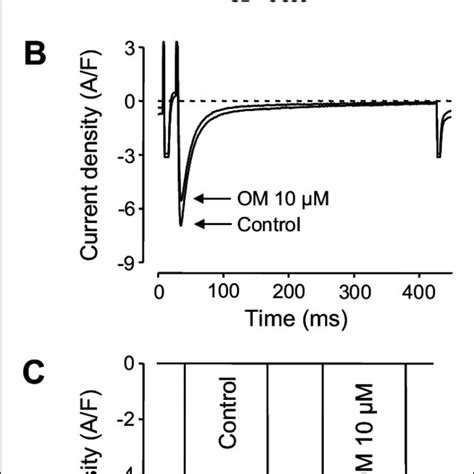 Effect Of 10 µm Om On Transient Outward K Current I To A