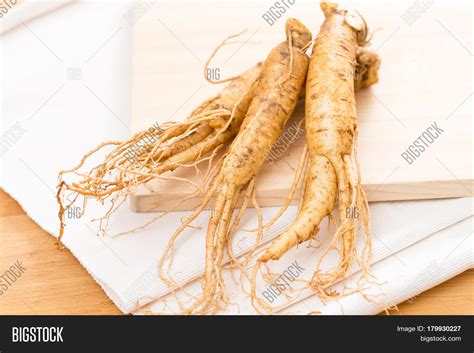 Fresh Ginseng Root Image And Photo Free Trial Bigstock