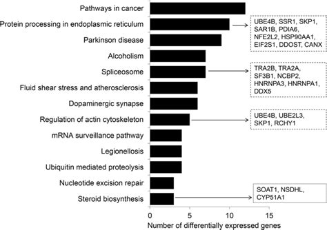 Molecular Functions Significantly Enriched By Differentially Expressed