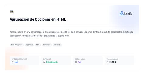 Agrupación De Opciones En Html Mejora La Funcionalidad De La Lista Desplegable Labex