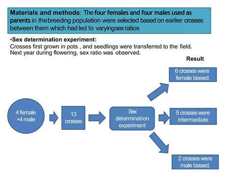 SEX DETERMINATION MECHANISMS IN PLANTS PPTX