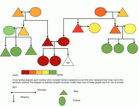 Kinship Chart Template Diagram Kinship Diagram Template Samp