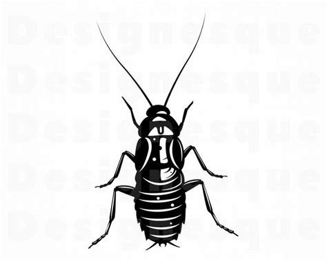 Cockroach Svg Cockroach Clipart Cockroach Files For Cricut Cockroach Cut Files For Silhouette