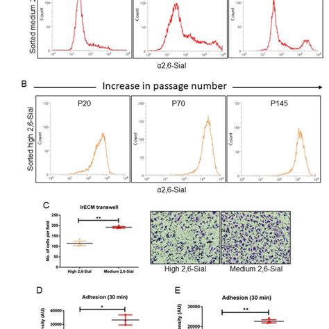 Figure S9 Lectin Based Flow Cytometry Profiles Of Medium 2 6 Sial