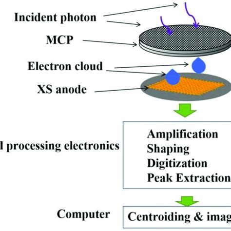 Schematic Diagram Of Xs Detector Structure Download Scientific Diagram