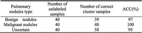 Table 1 From Classification Of Benign And Malignant Pulmonary Nodules Based On The