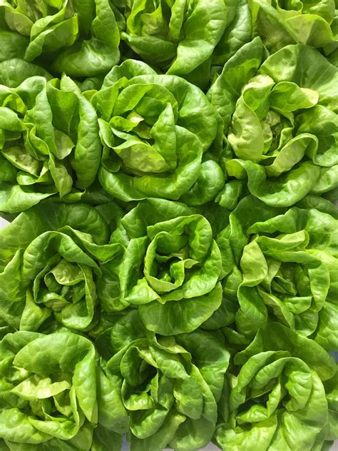 The Psychotics The Psychotics Added A New Photo