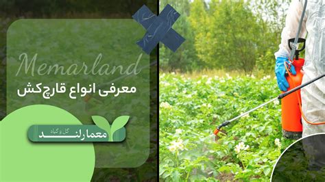 18 نوع بیماری قارچی در گیاهان و روش درمان