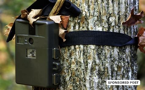 The Best Hunting And Trail Cameras On Amazon AllOutdoor