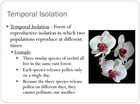 Ppt Evolution And Adaptation Notes Powerpoint Presentation Free Download Id 2783813