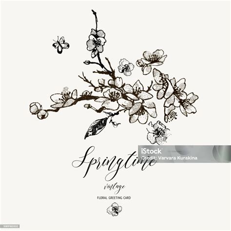 체리 복숭아 배 사쿠라 사과 나무와 나비 핑크 피와 수채화 봄 인사말 카드 빈티지 꽃 꽃다발 꽃 고립 된 식물 그림 벚꽃에 대한 스톡 벡터 아트 및 기타 이미지 Istock